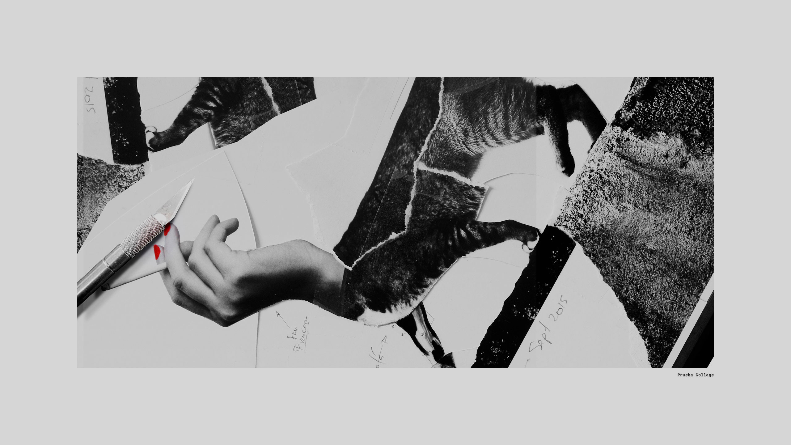 Diego González – Designer & Creative Director